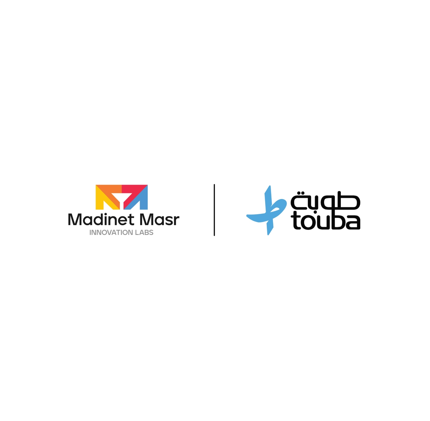 Brand evolved to “Madinet Masr” with high-quality projects.